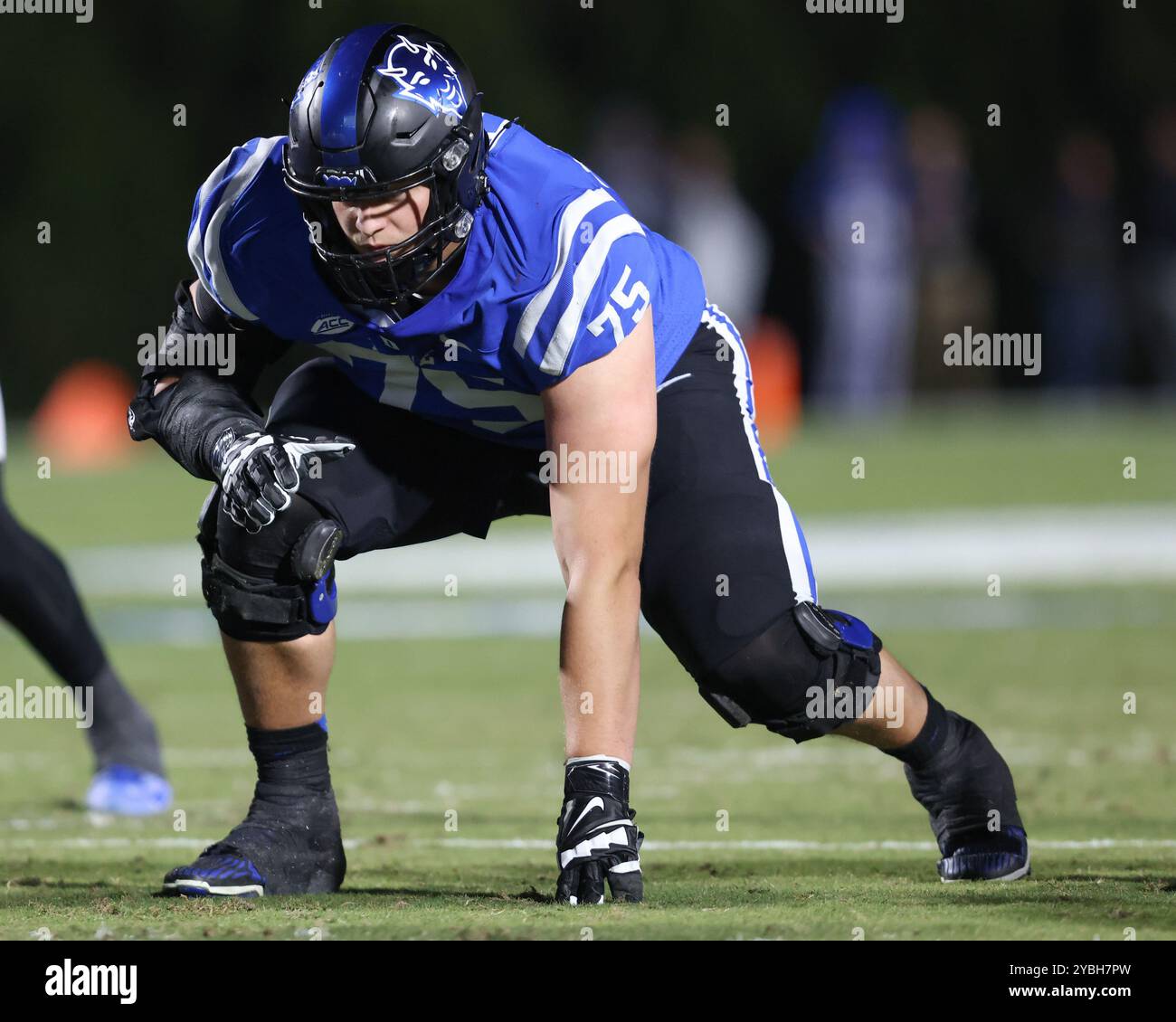 Duke fina hi-res stock photography and images - Alamy