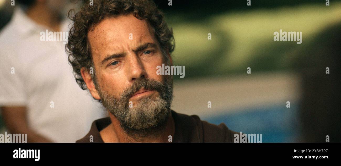 Paloma negra hi-res stock photography and images - Alamy