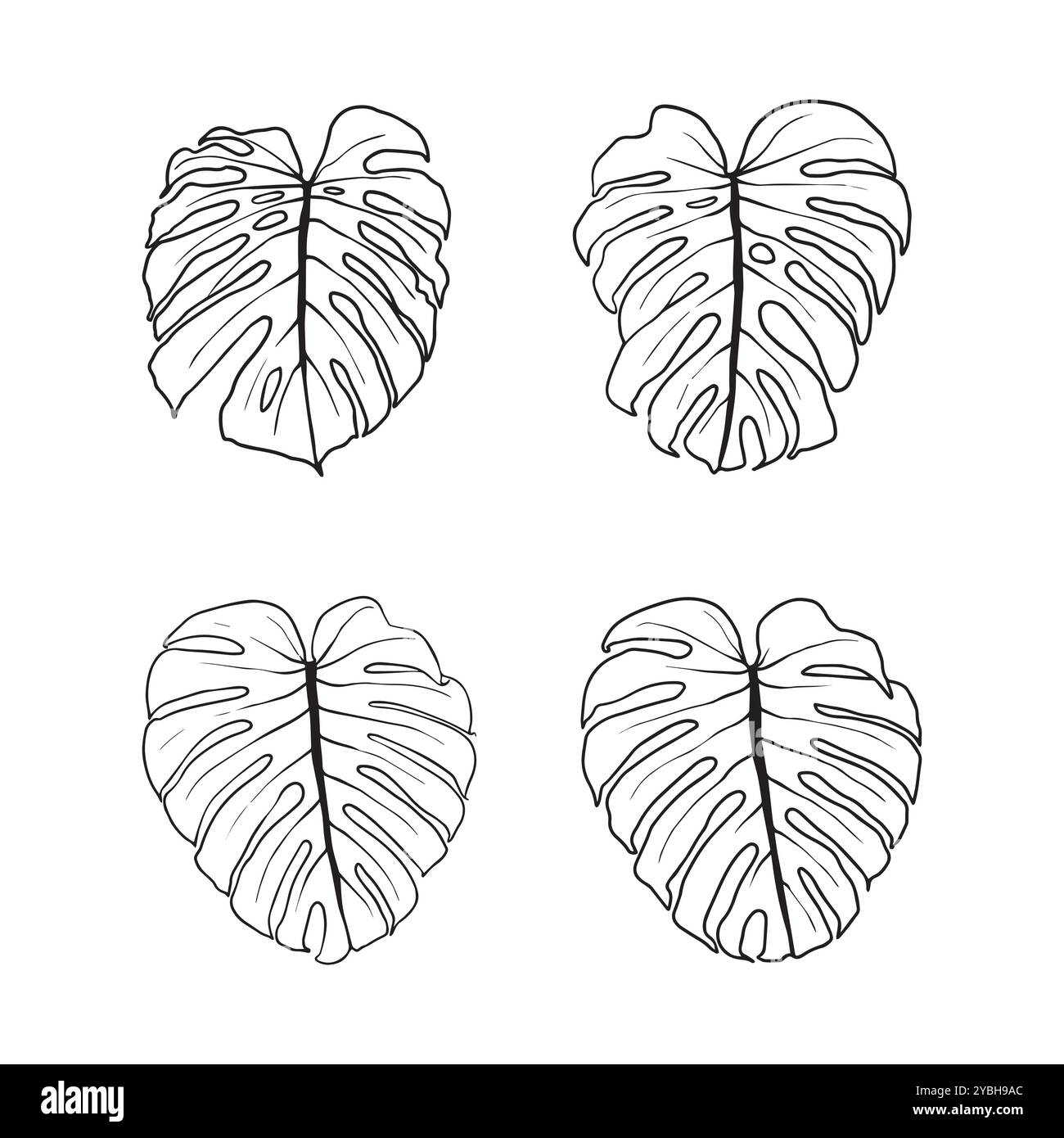 Set of monstera leaves. Black outline of monstera leaf vector ...