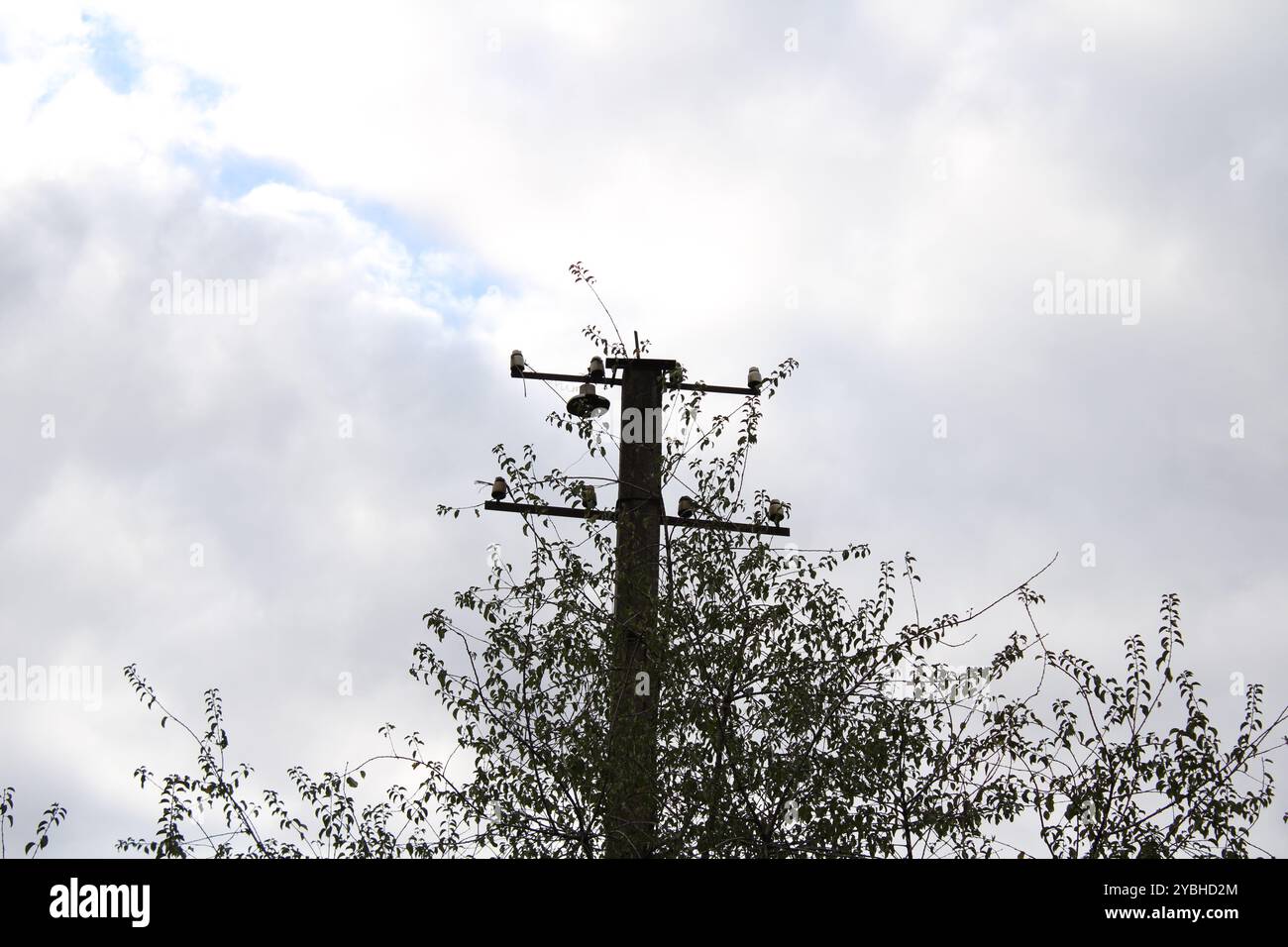 Striking vertical contrast hi-res stock photography and images - Alamy