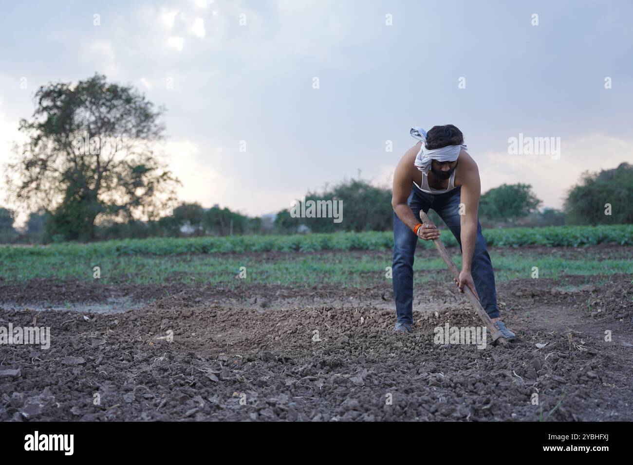 Indian farmer, young, laboring on the field Stock Photo - Alamy