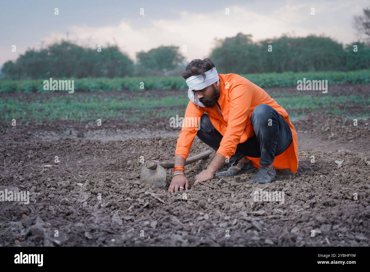 Indian farmer, young, laboring on the field Stock Photo - Alamy