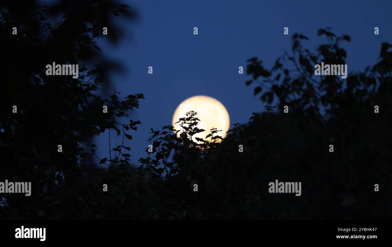 Hunters supermoon hi-res stock photography and images - Alamy