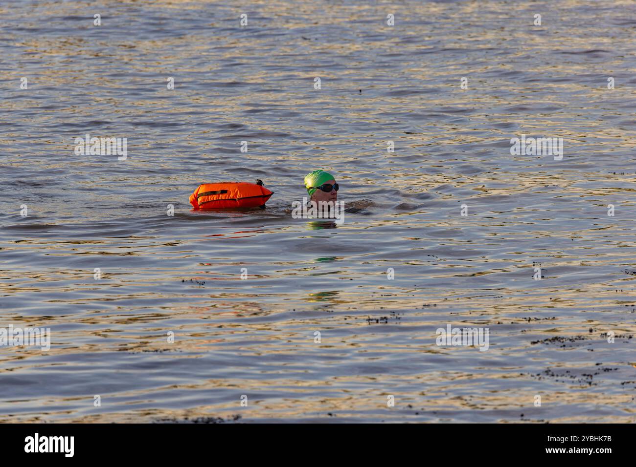 Cold water swimmer cold water swimmers hi-res stock photography and ...
