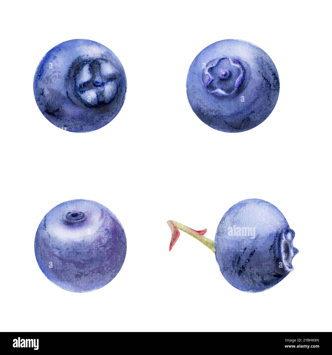 Blueberry blackberry sloe fruit hi-res stock photography and images - Alamy