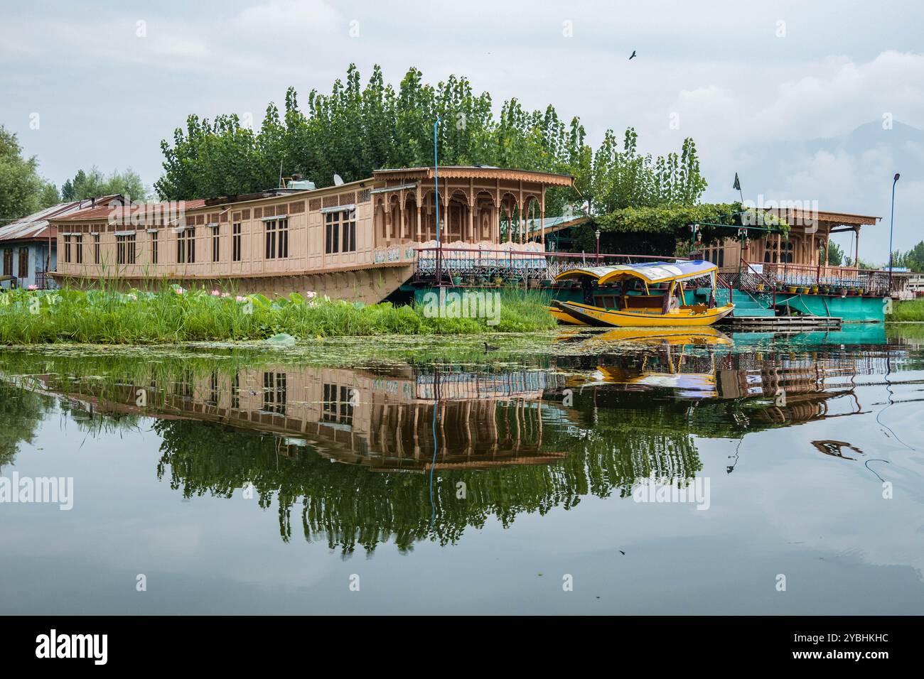 Houseboat life on Dal Lake, Srinagar, Kashmir, India Stock Photo - Alamy