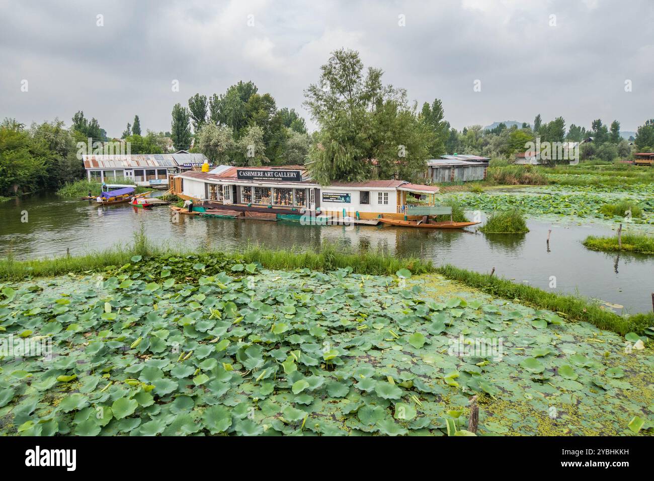 Houseboat life on Dal Lake, Srinagar, Kashmir, India Stock Photo - Alamy