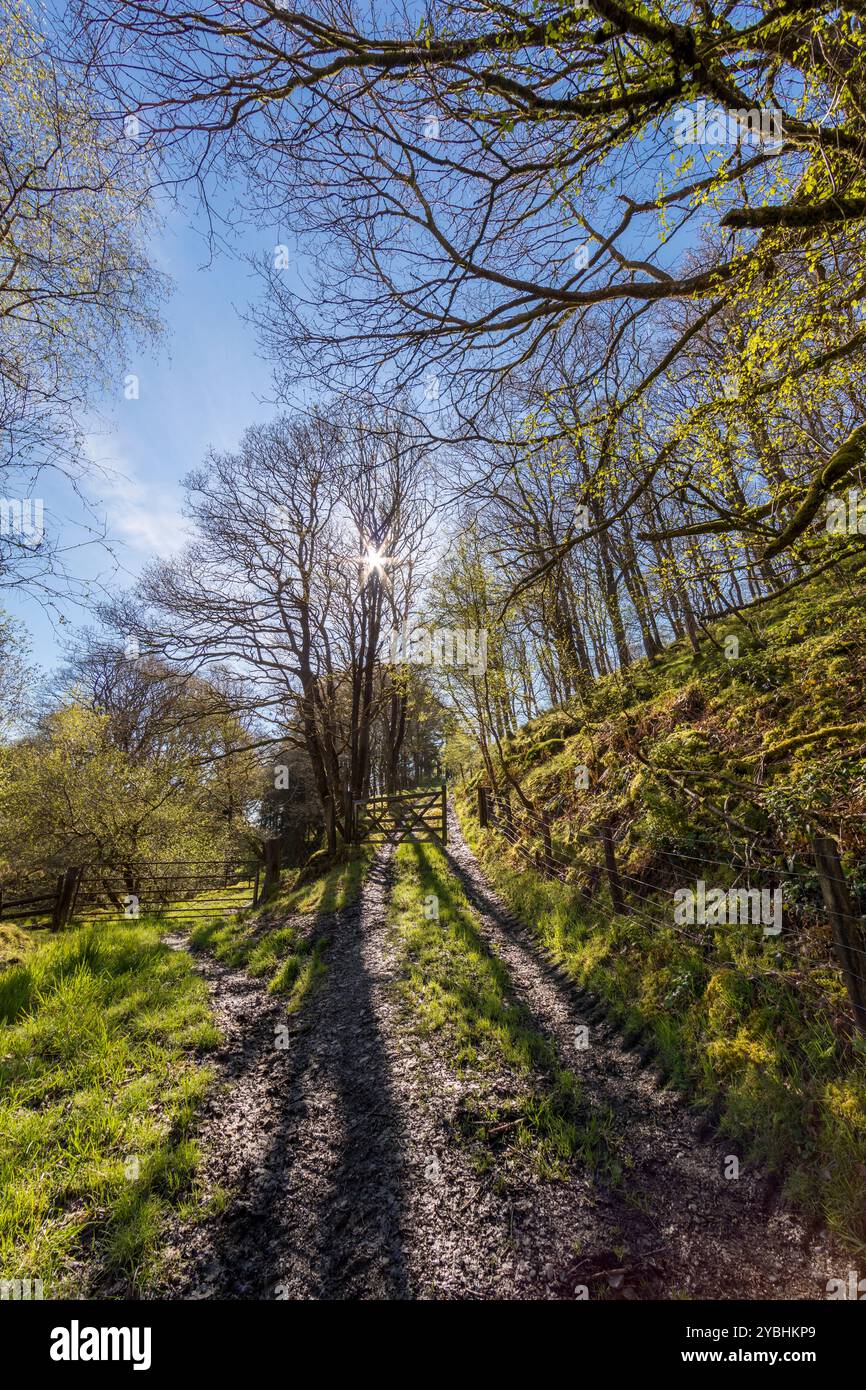 Bright sunny spring landscape hi-res stock photography and images - Alamy