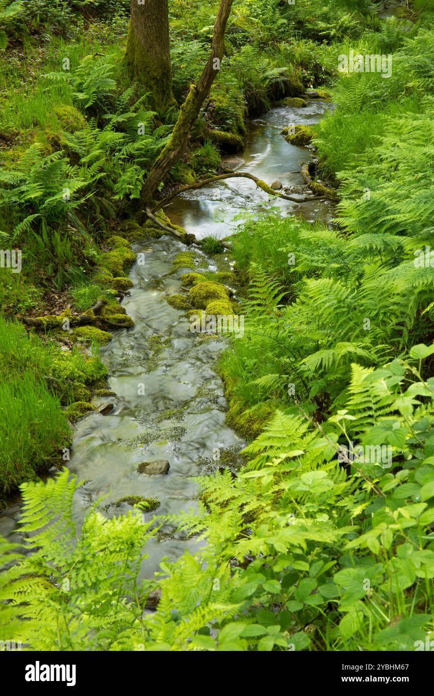 Spring scene in may hi-res stock photography and images - Alamy