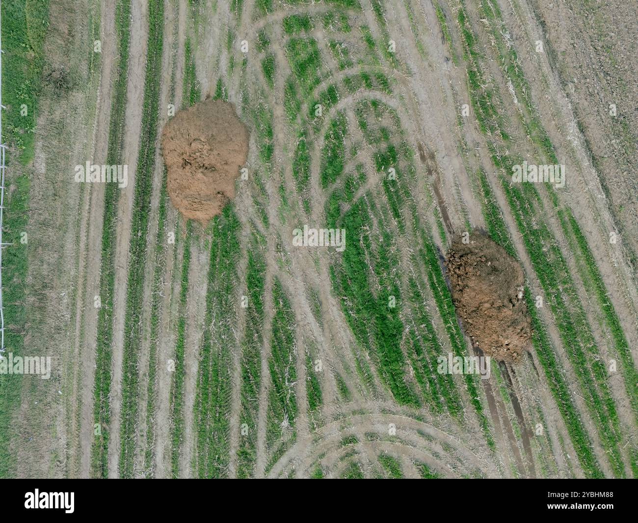 Drone photography showing the geometric patterns left by farm vehicles ...