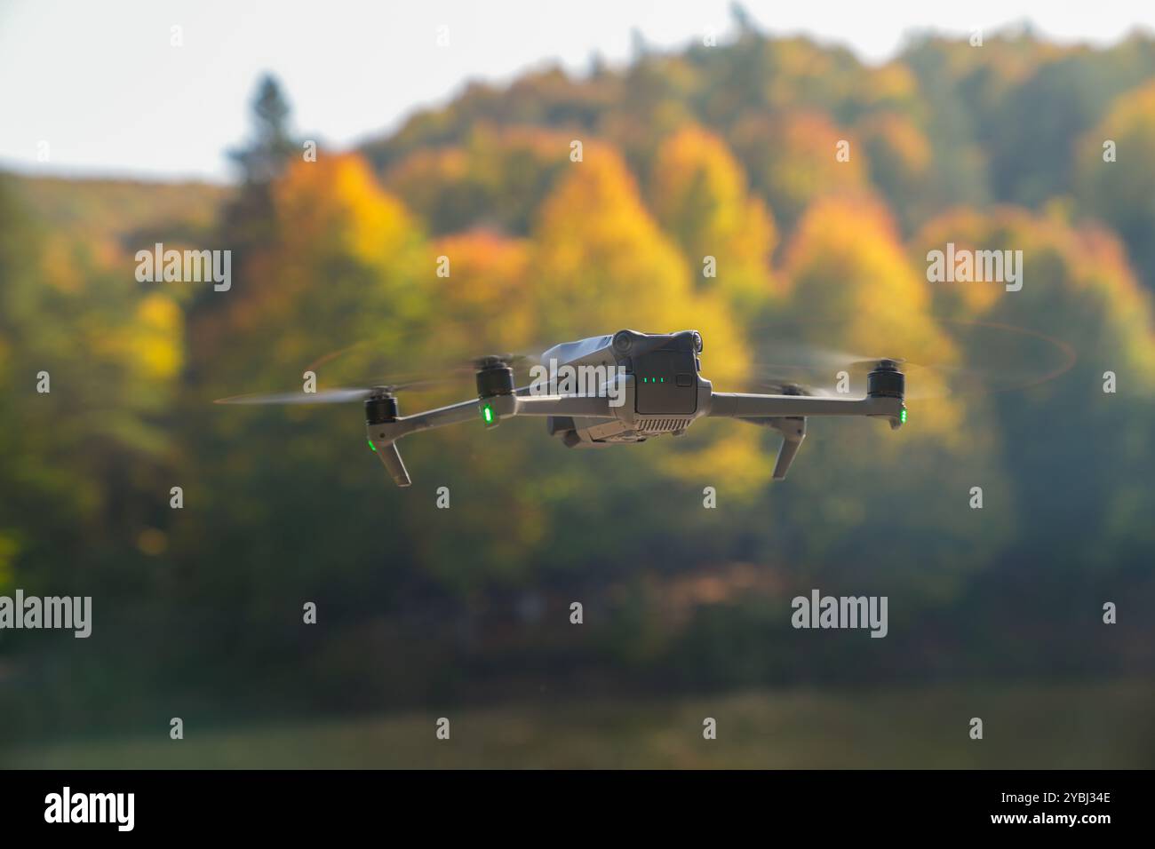 Video forest landscape trees flying hi-res stock photography and images ...
