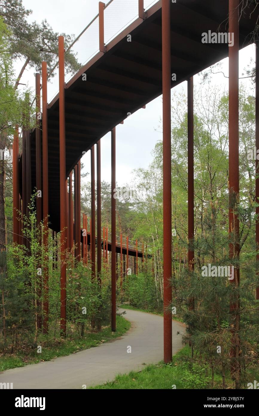 The "Cycling through trees" elevated cycle route in the Bosland ...