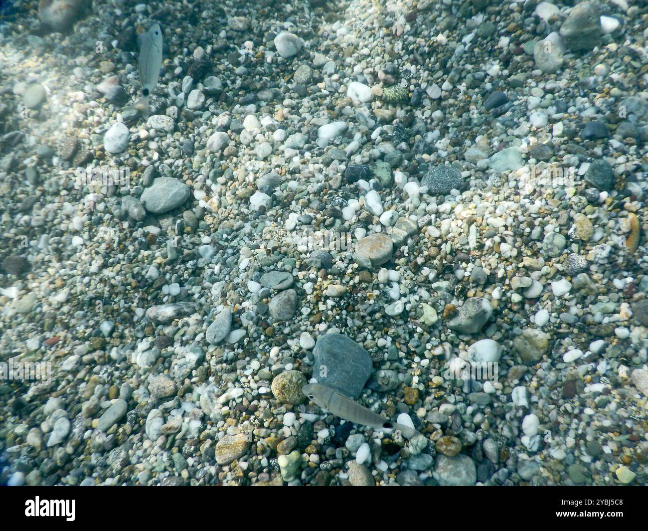 Underwater pebbles at the seaside. May be used as background Stock ...