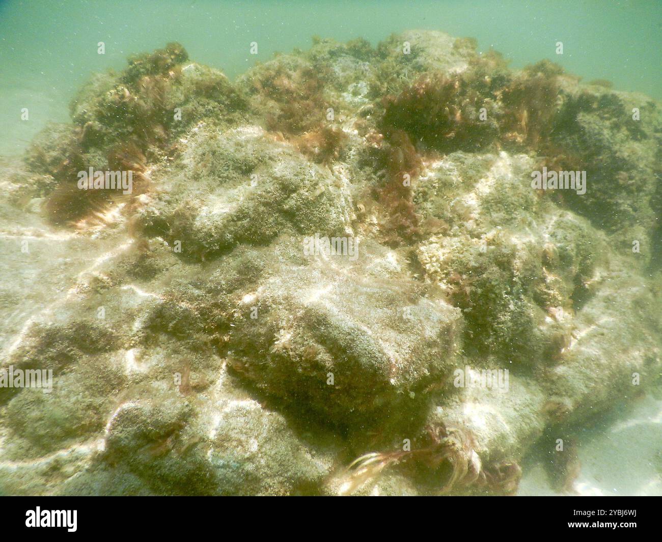Beautiful place salento coast hi-res stock photography and images - Alamy