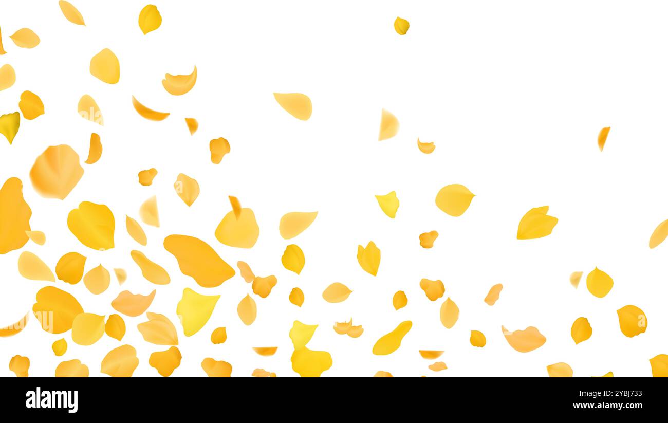 Transparent panoramic horizontal background.Amber flower spring ...