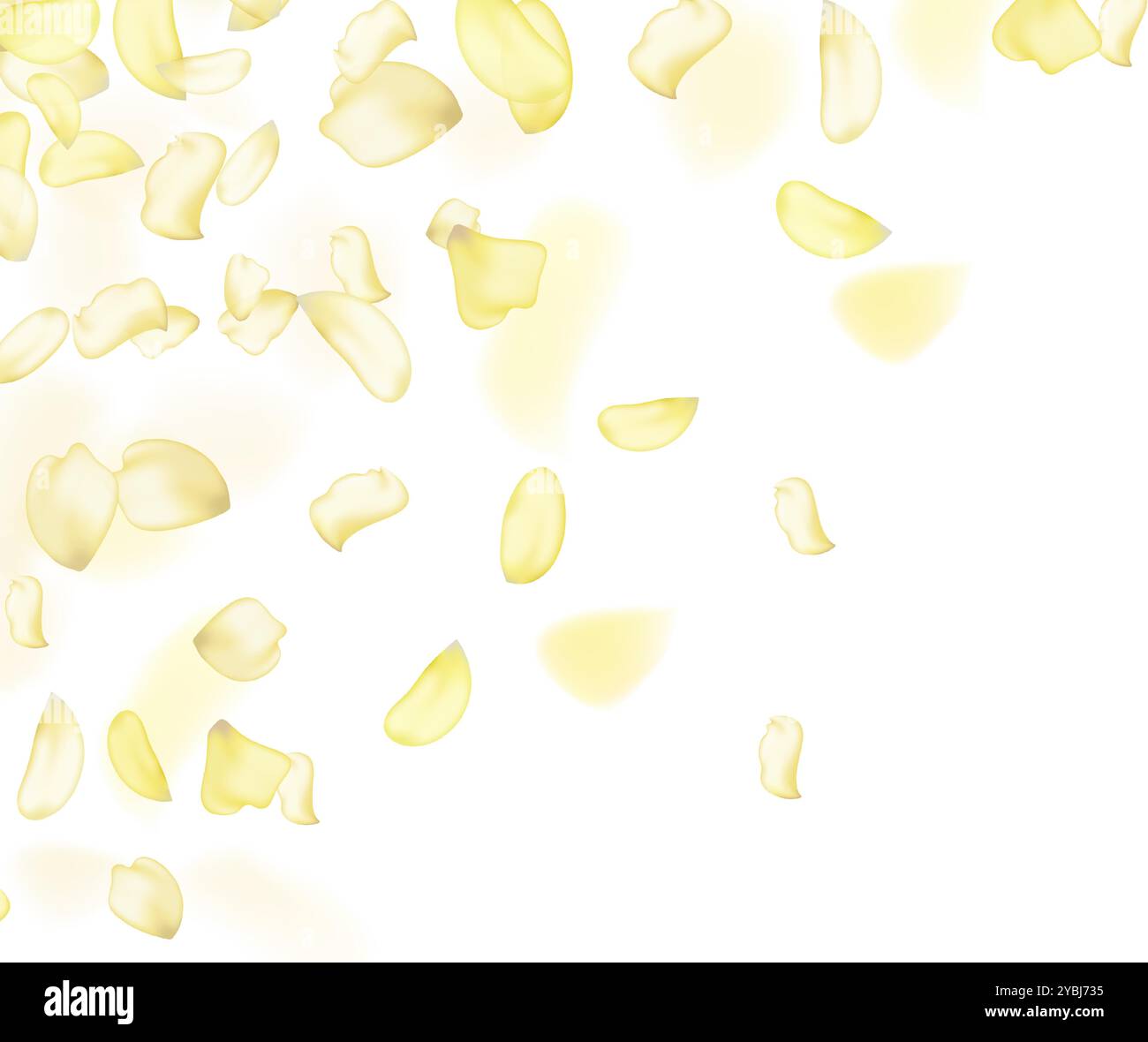 Transparent panoramic horizontal background.Amber flower spring ...