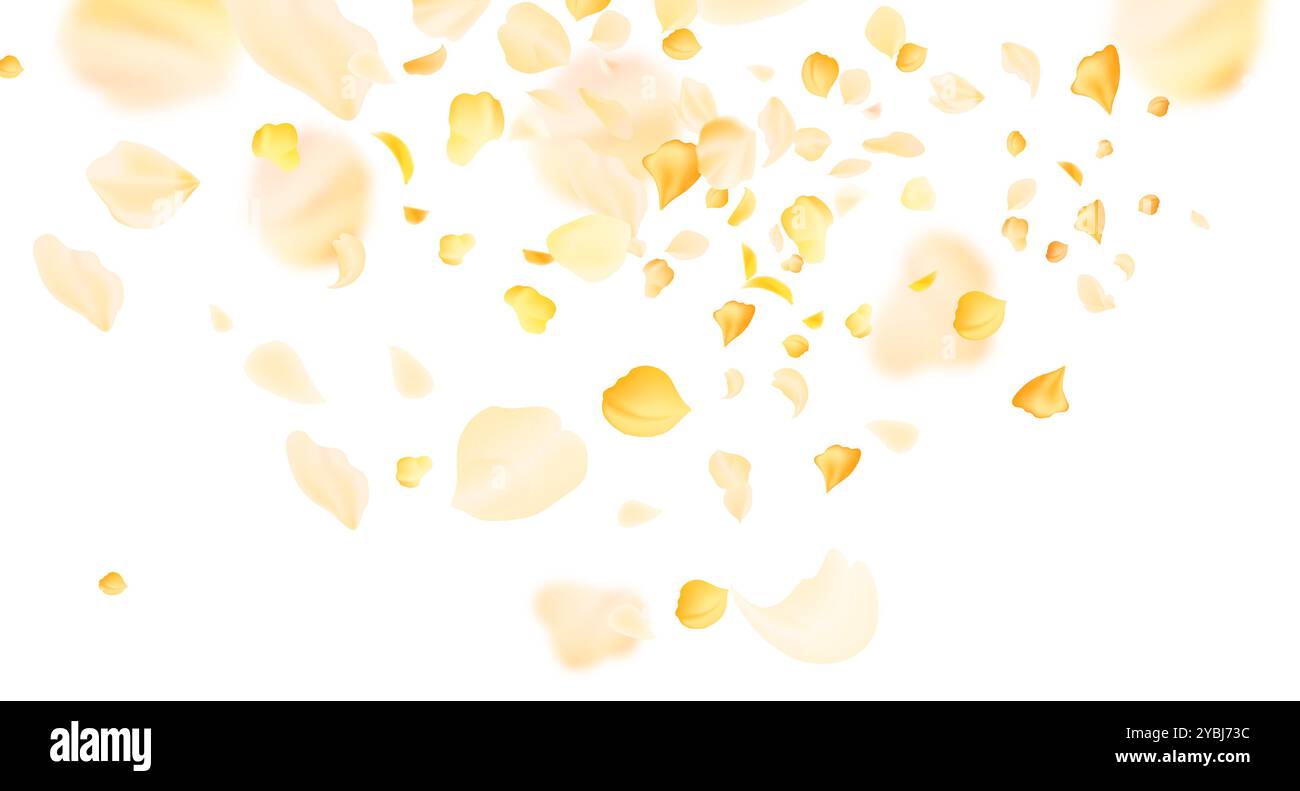 Transparent panoramic horizontal background.Amber flower spring ...