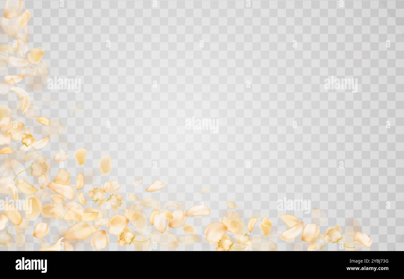 Transparent panoramic horizontal background.Amber flower spring ...