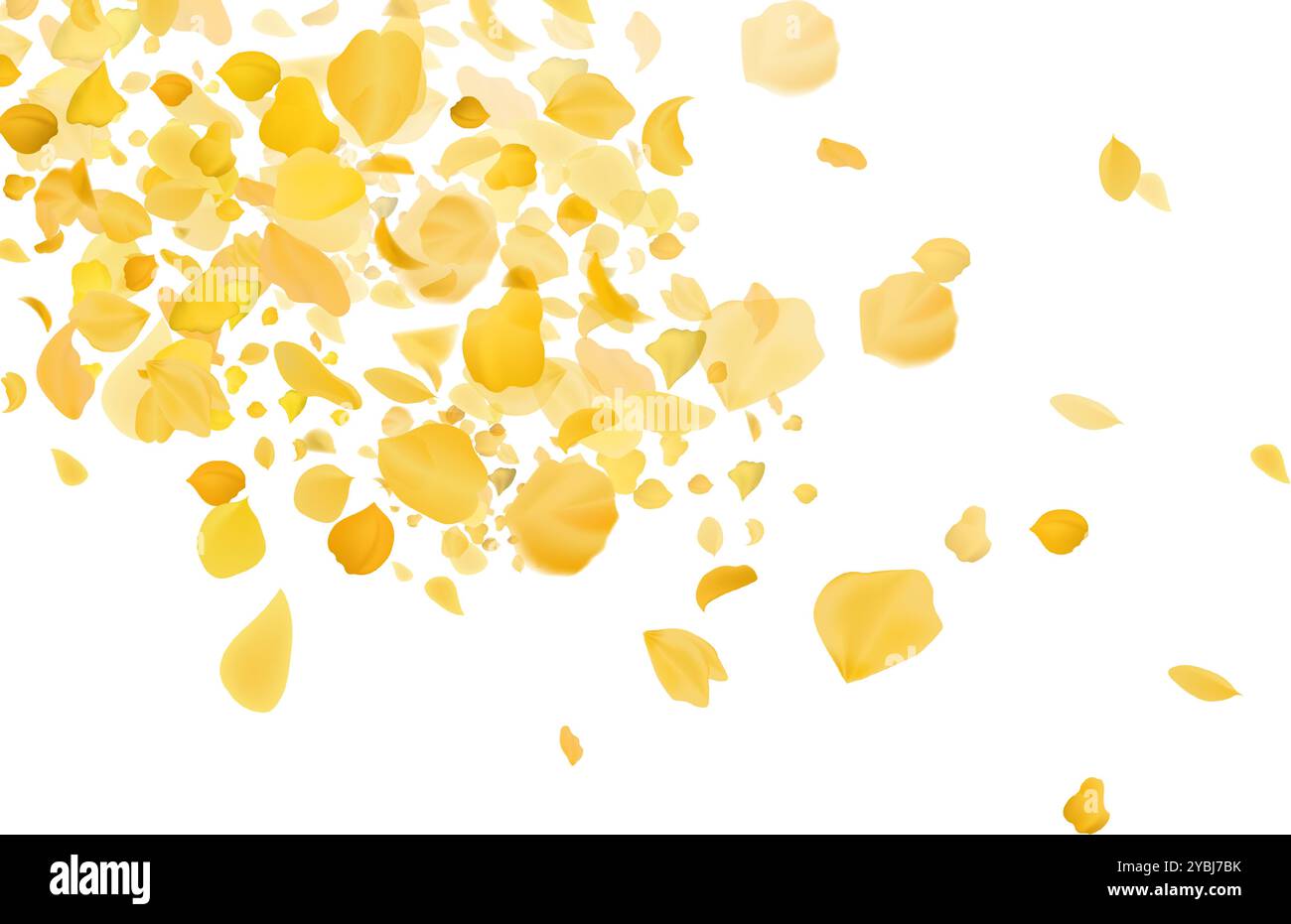 Transparent panoramic horizontal background.Amber flower spring ...