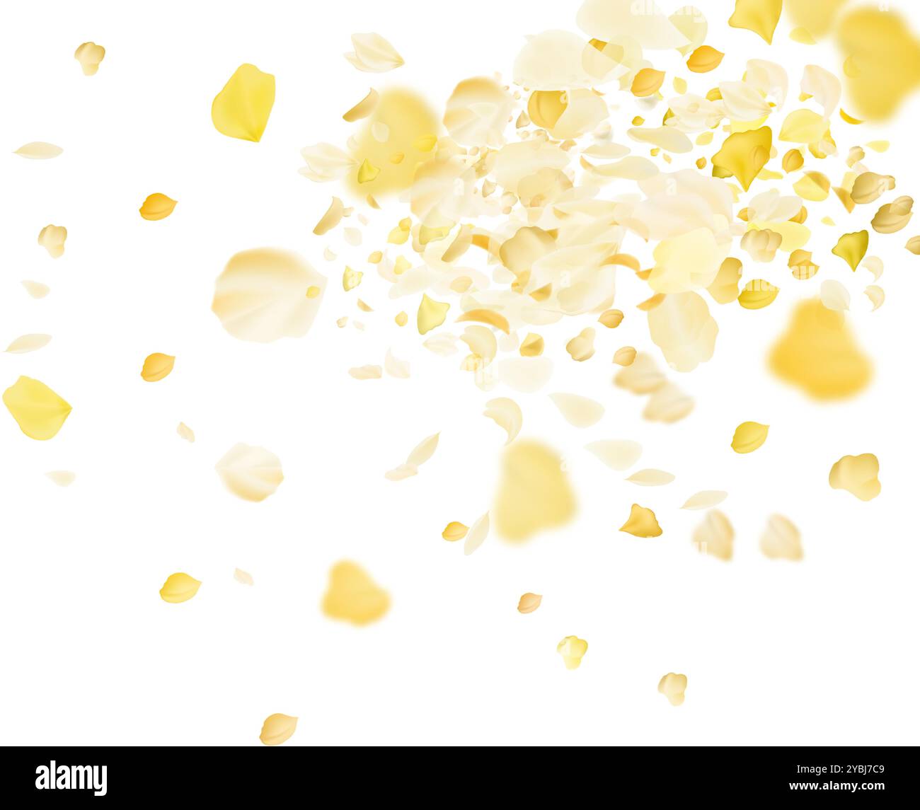 Transparent panoramic horizontal background.Amber flower spring ...