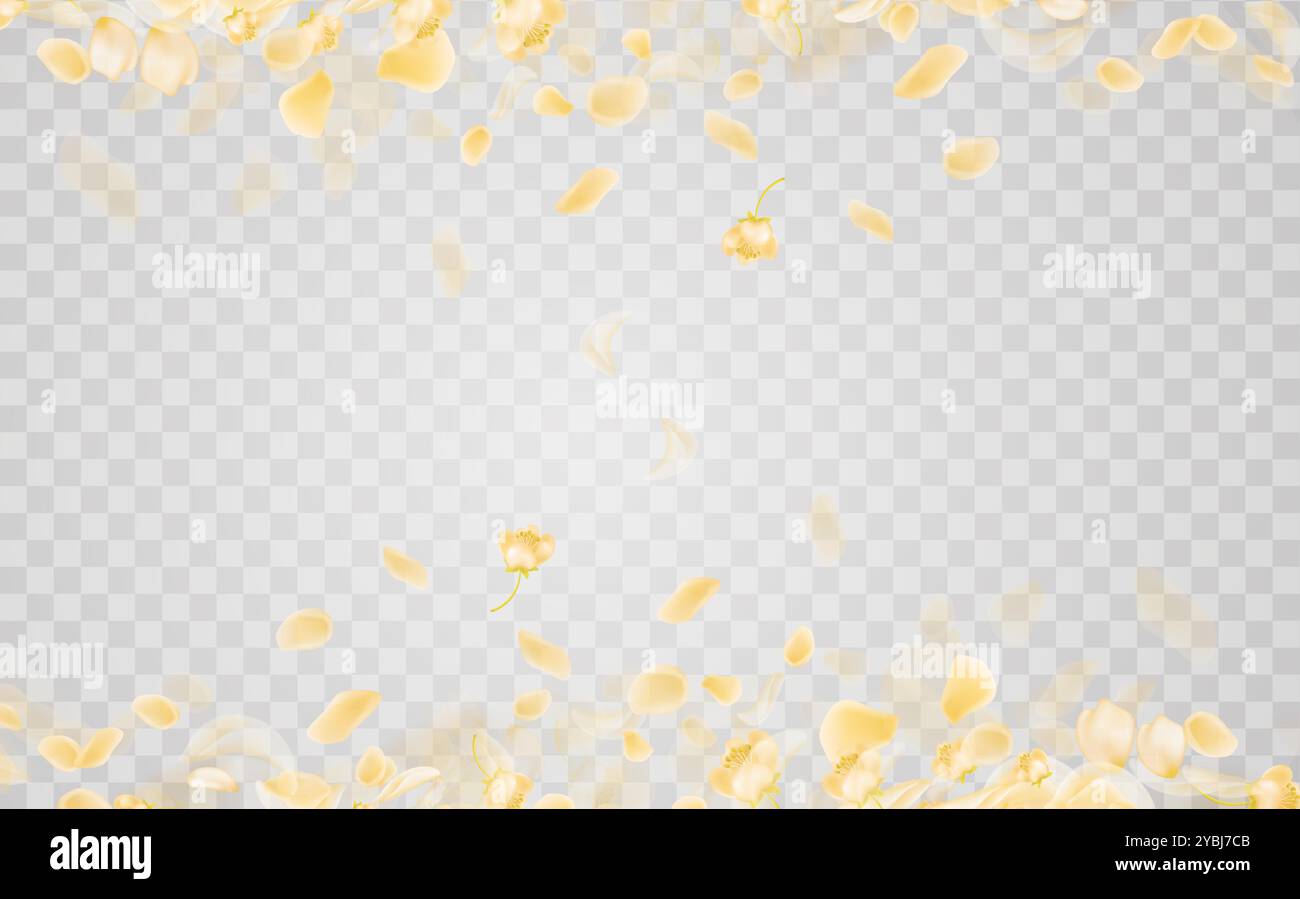 Transparent panoramic horizontal background.Amber flower spring ...