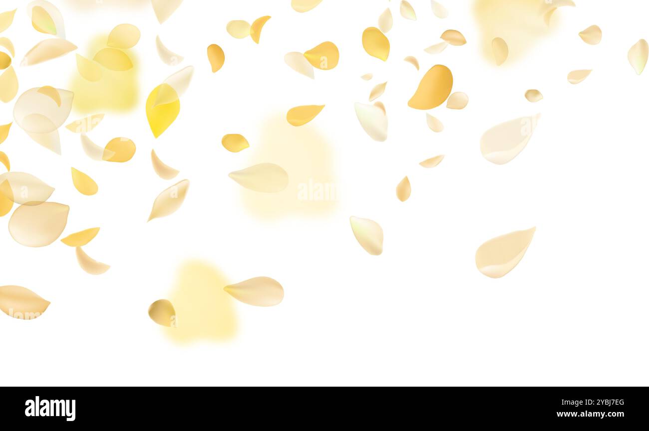 Transparent panoramic horizontal background.Amber flower spring ...