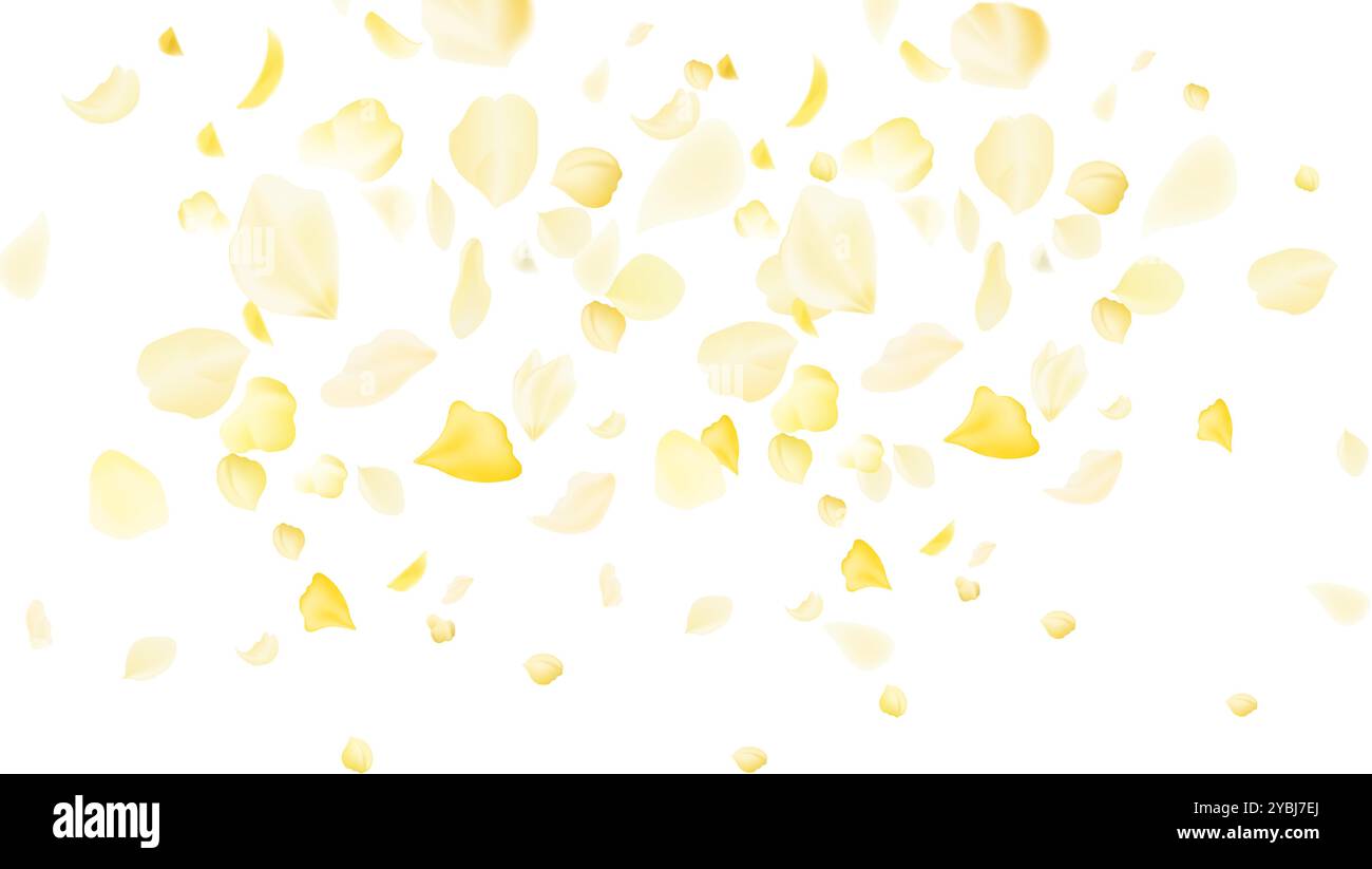 Transparent panoramic horizontal background.Amber flower spring ...