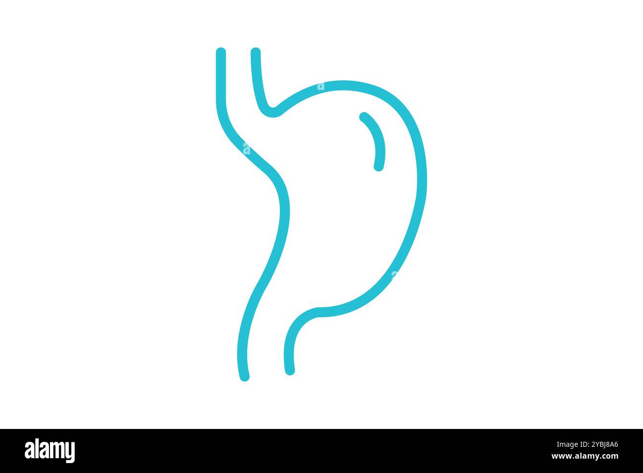 Stomach icon. line icon style. icon related to medical. health elements ...