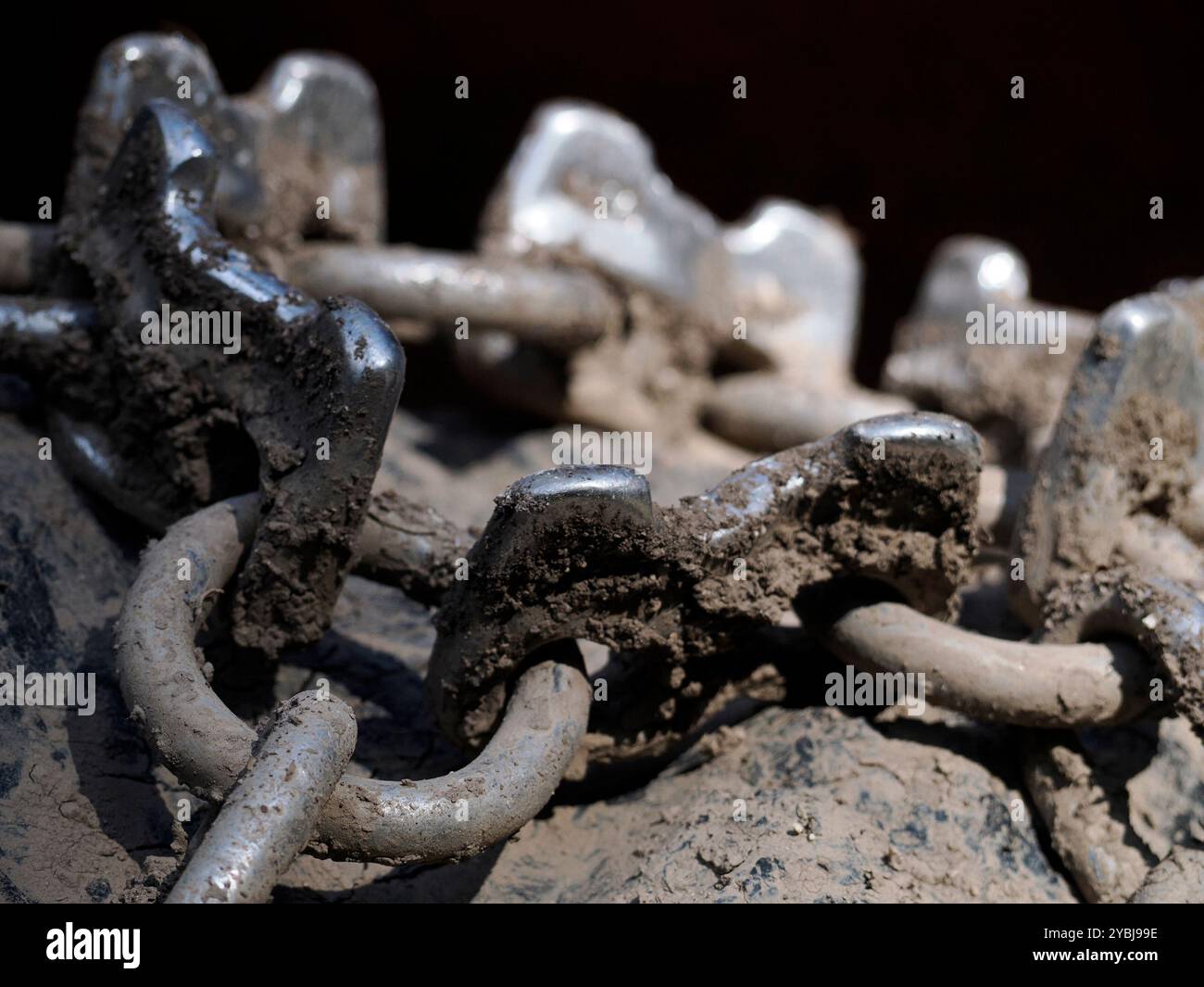 A tractor tires with chains for mud. The detail of the wheels and tires ...