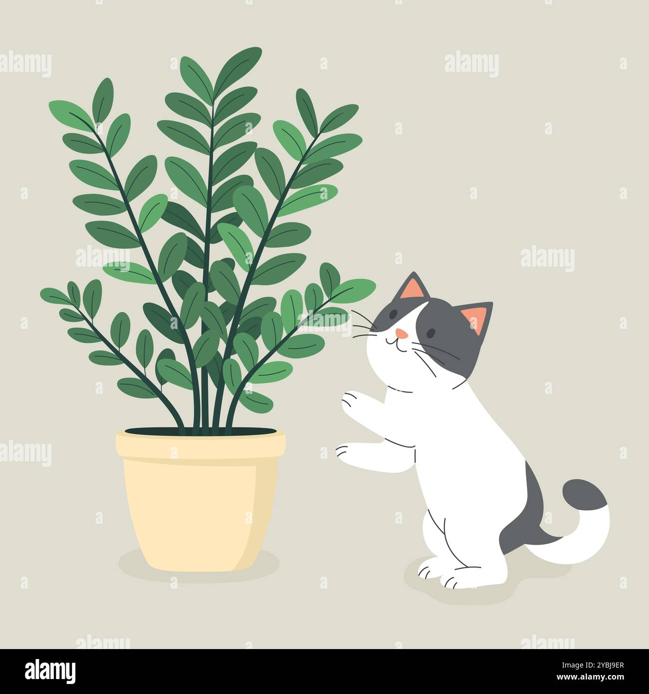 Cute Cartoon Flat Vector Cat Reaching for a Potted Zamioculcas Plant ...