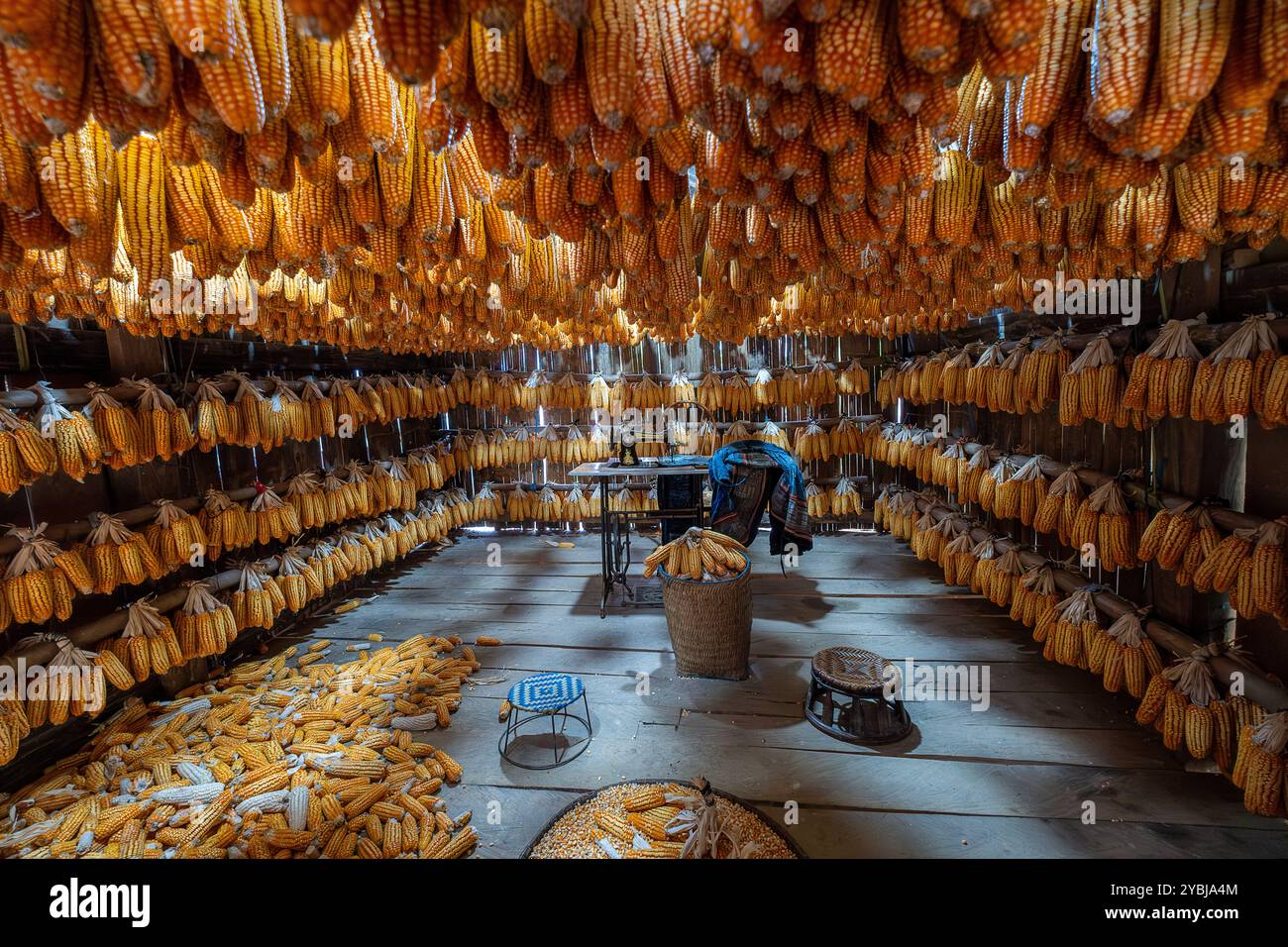 Image of a house filled with corn in Mu Cang Chai district, Vietnam ...