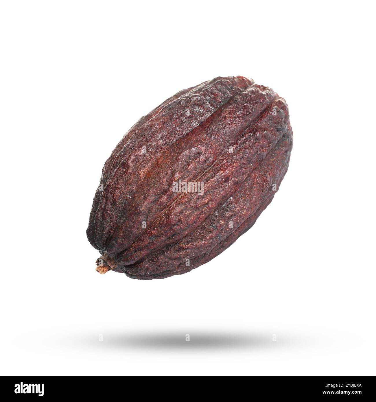 Cocoa pod in air on white background Stock Photo - Alamy