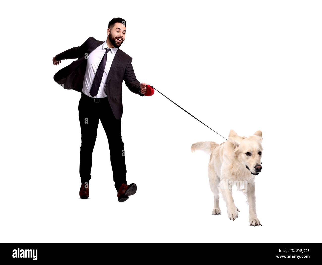Happy businessman walking his dog on white background Stock Photo - Alamy