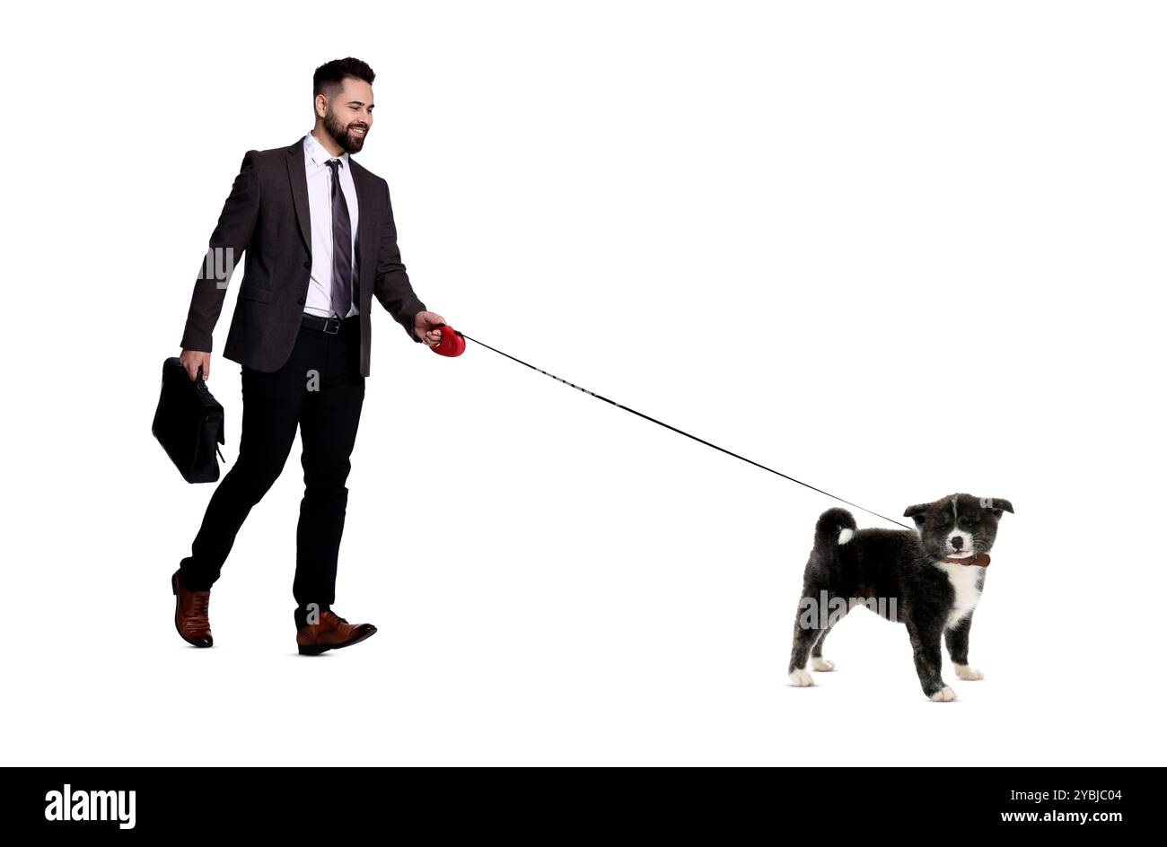 Happy businessman walking his dog on white background Stock Photo - Alamy