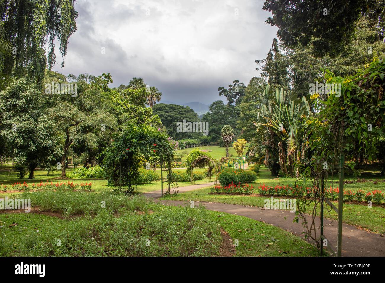 Landscape photography in the fertile highlands of the subtropical ...