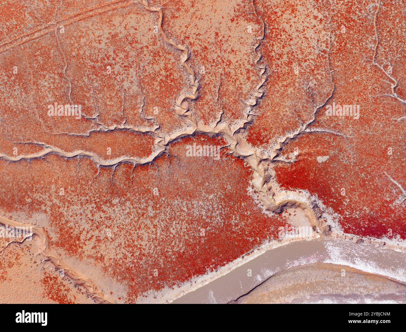 Qingdao, China. 19th Oct, 2024. QINGDAO, CHINA - OCTOBER 19, 2024 ...