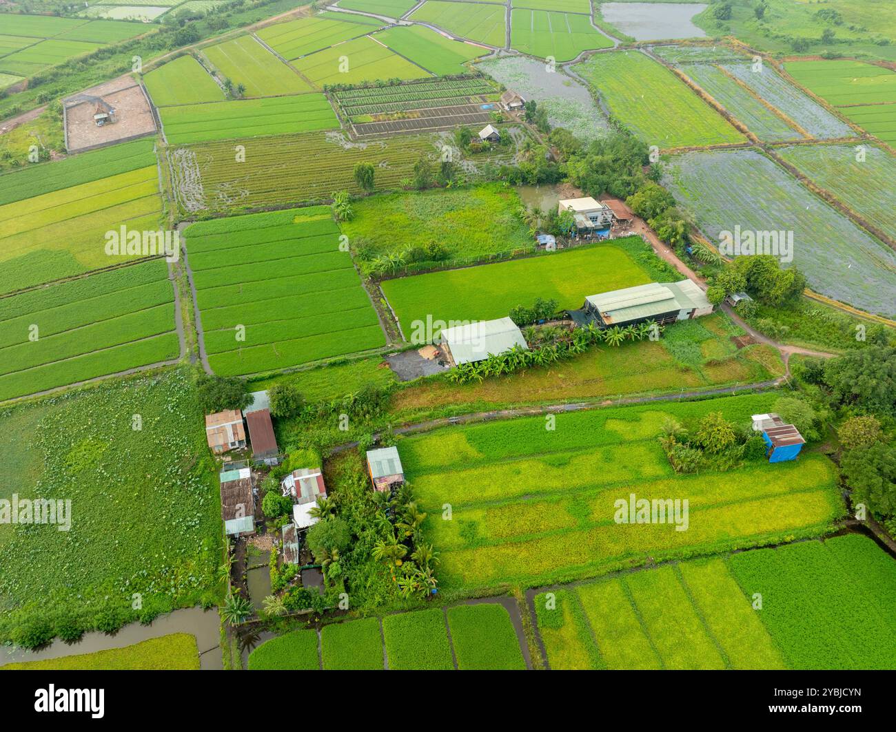 Vegetable growing area in the suburbs of District 12, Ho Chi Minh City ...