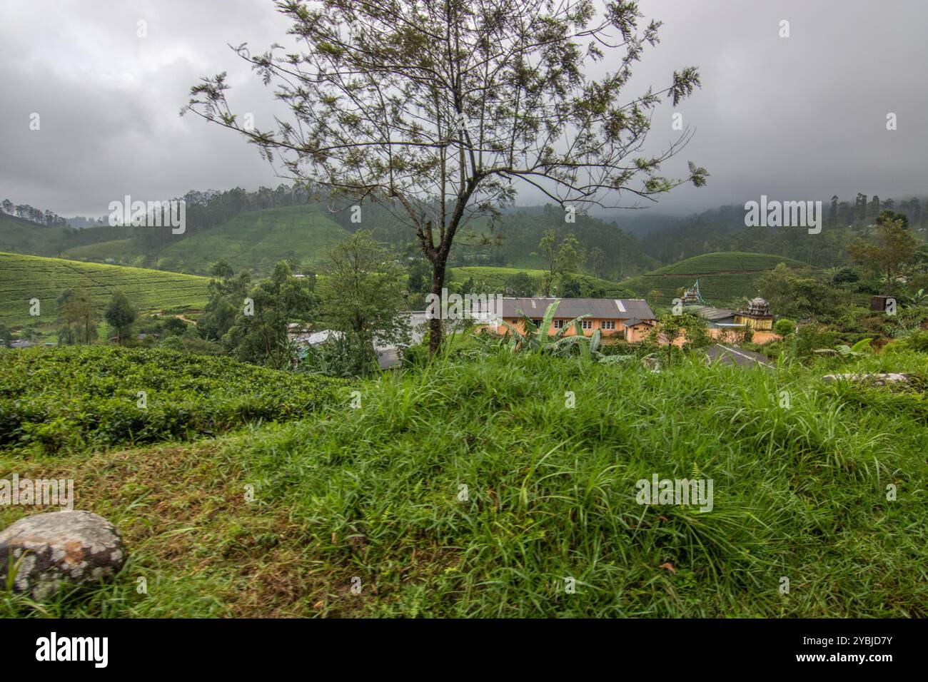 Landscape photography in the fertile highlands of the subtropical ...