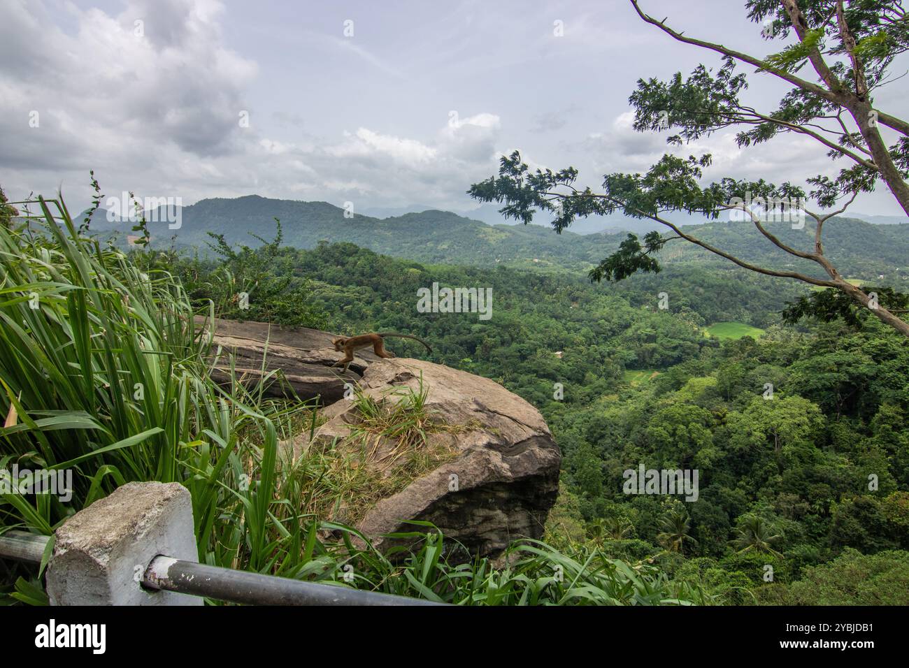 Landscape photography in the fertile highlands of the subtropical ...