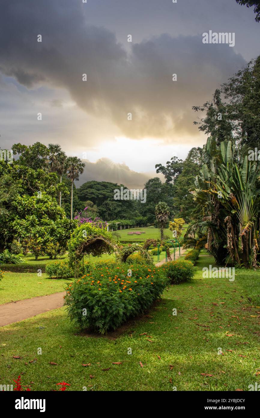 Landscape photography in the fertile highlands of the subtropical ...