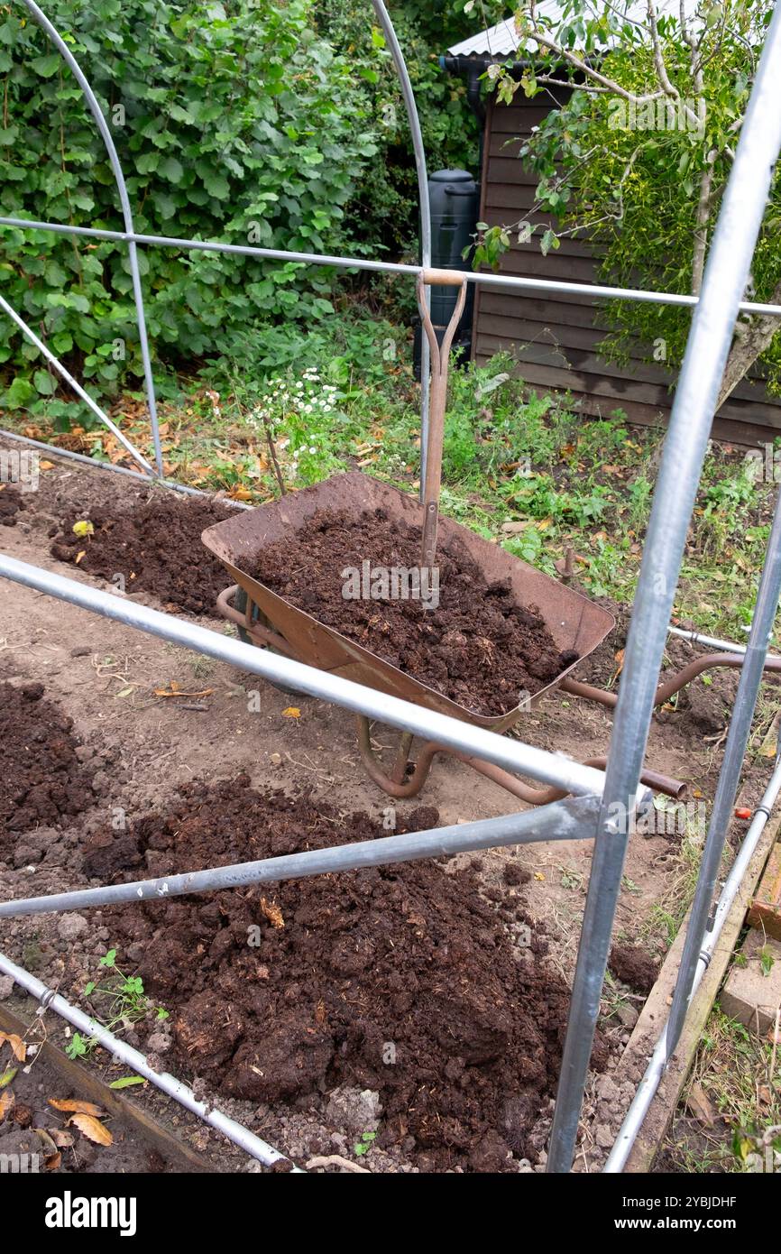 Well rotted horse manure being applied to polytunnel with cover removed ... Well rotted horse manure being applied to polytunnel with cover removed ...