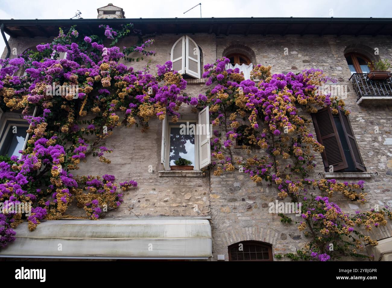 Exterior building architecture and beautiful purple flowers in Sirmione ...