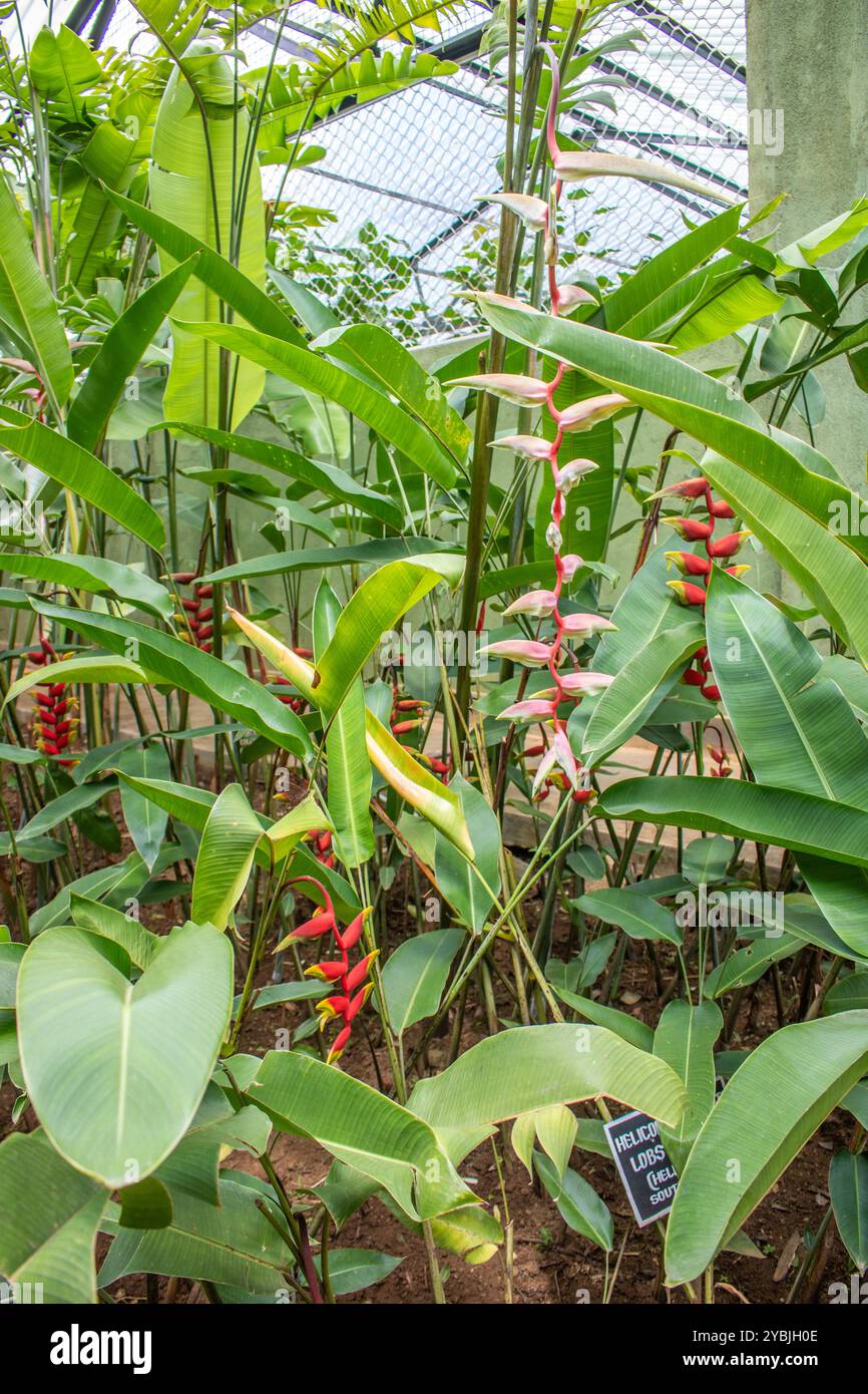 Landscape photography in the fertile highlands of the subtropical ...
