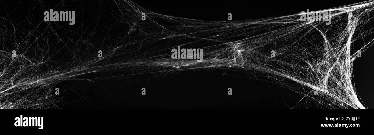 White cobweb on black background, banner design Stock Photo - Alamy