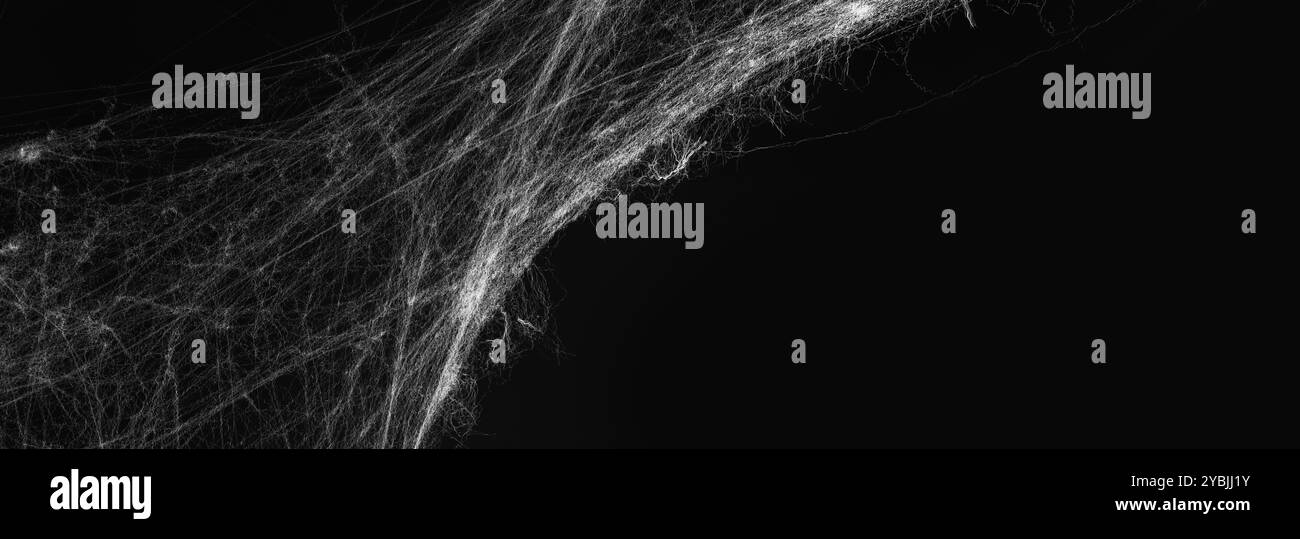 White cobweb on black background, banner design Stock Photo - Alamy