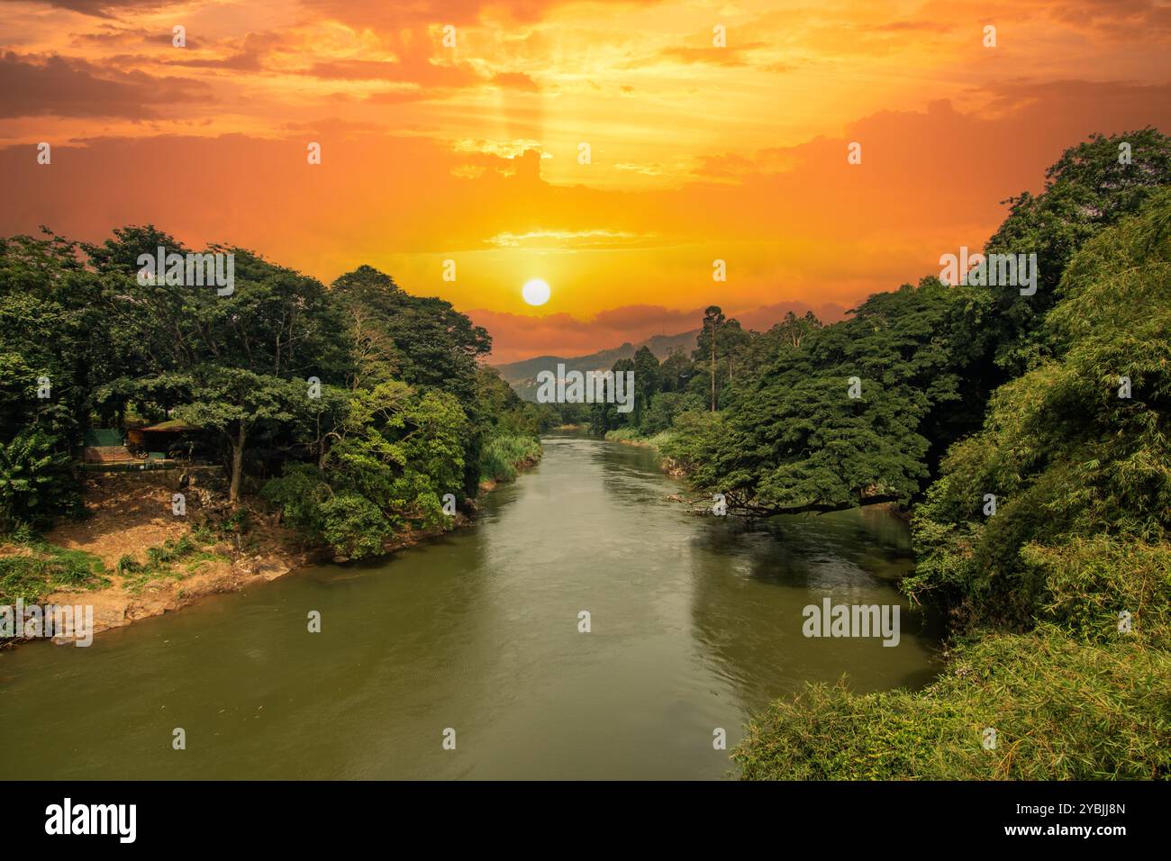 Landscape photography in the fertile highlands of the subtropical ...