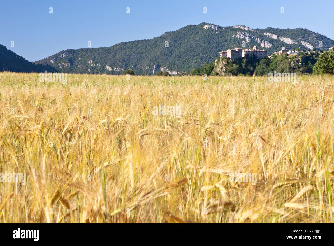 Liguerre de cinca hi-res stock photography and images - Alamy