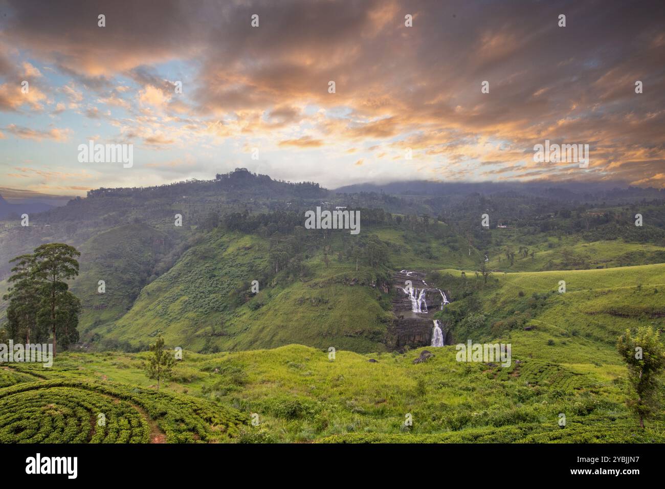 Landscape photography in the fertile highlands of the subtropical ...