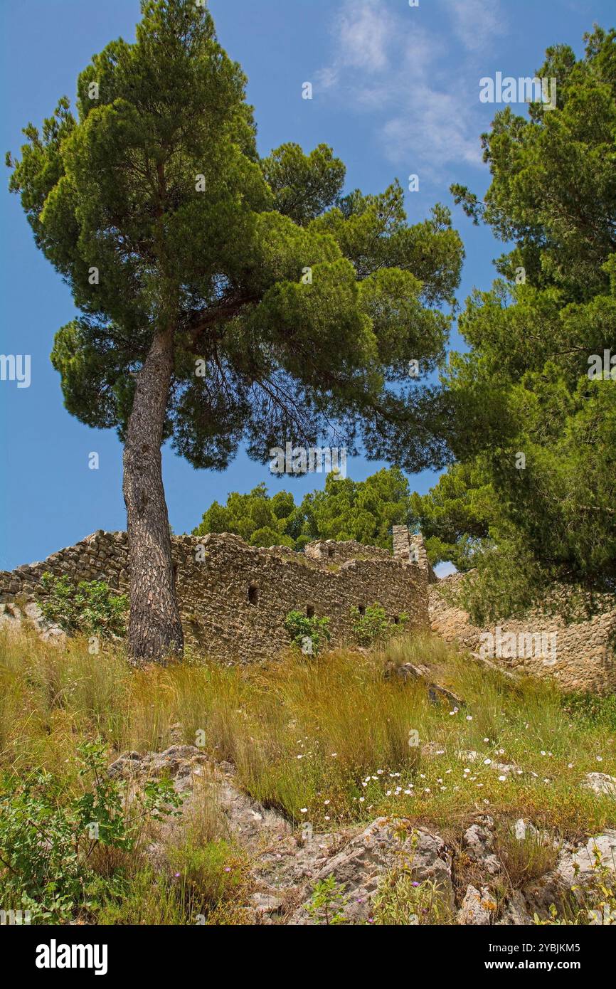 Part of the fortified walls of the 13th century Berat Castle, Albania ...
