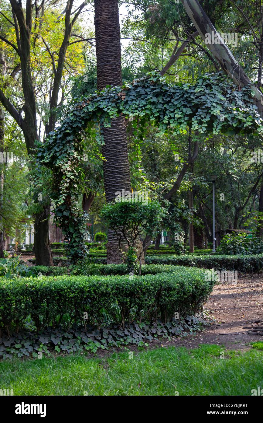 Parque Mexico in Condesa Neighbourhood of mexico City, Mexico Stock ...